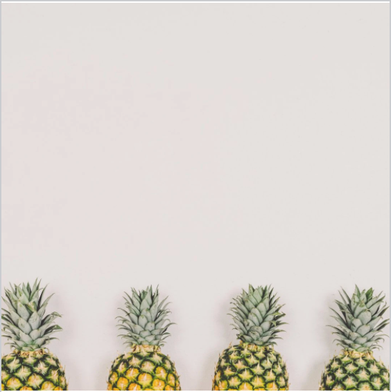 Kindness/ Rainbow Collection – Pineapple Paw Prints